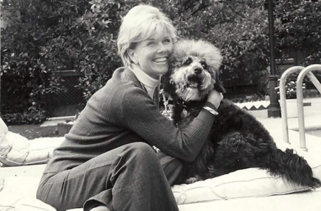 Sunshine Blondes: Marilyn and Doris Day | Tara Hanks